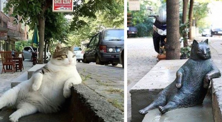 Istanbul Makes Statue in Honor of the Town’s Most Beloved Cat at His ...