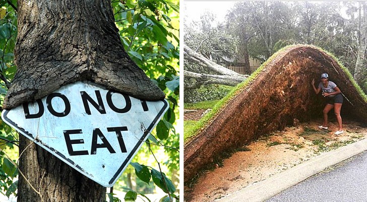 15 Breathtaking Images of Nature That Make Us Feel So Small