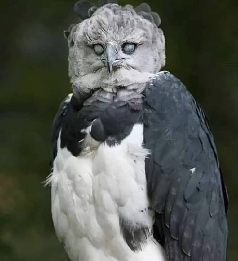 18 Incredible Photos That Show The Incomparable Power Of Nature