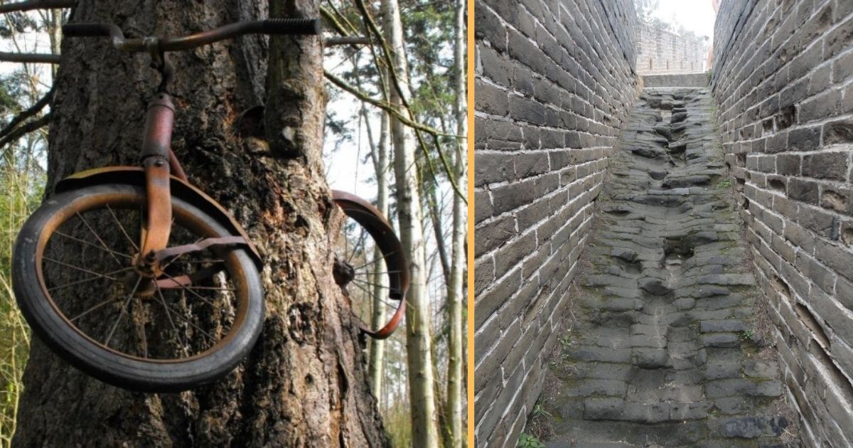 15 Incredible Photos That Demonstrate the Unstoppable Power of Time