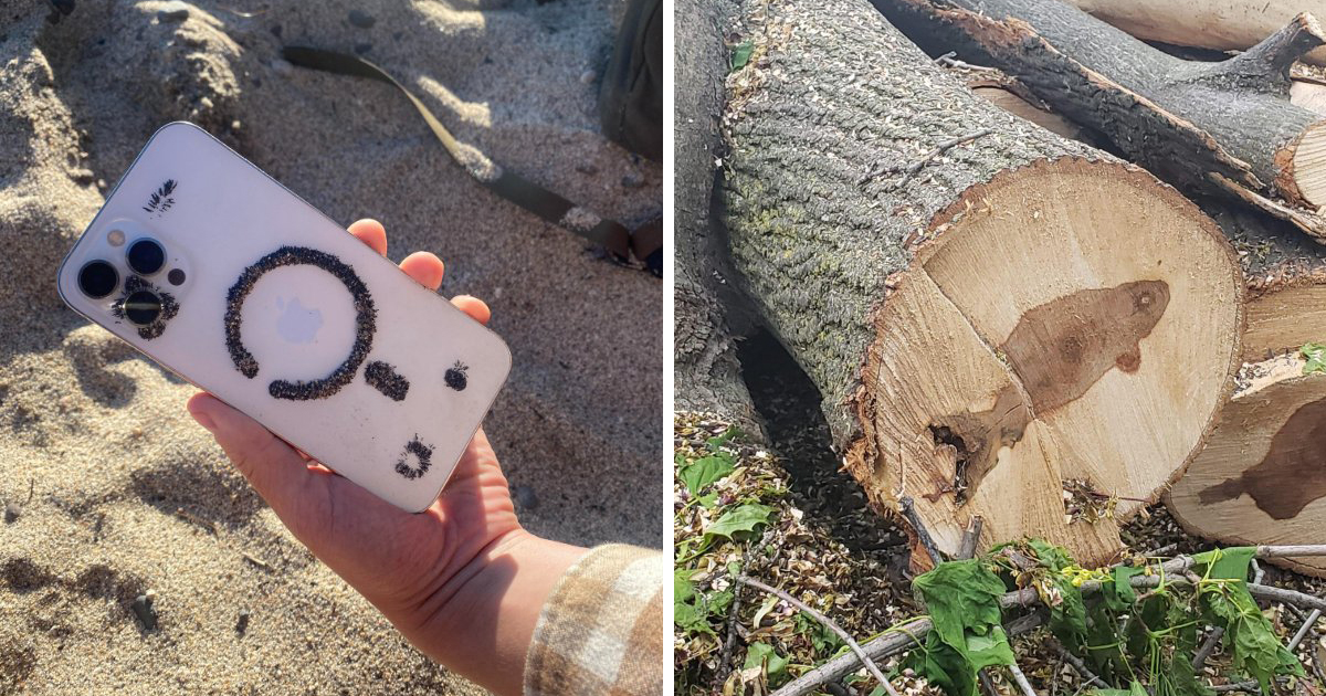 17 People Who Found Things That Are One In A Million