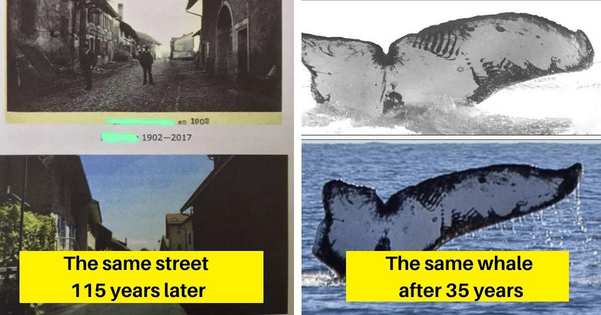 20 Photos of the Same Moment Taken Years Apart That Make It Look Like ...