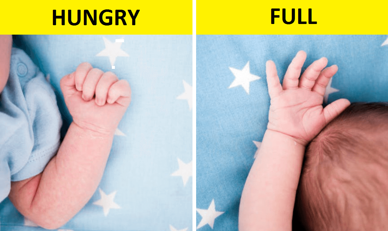 18 Signs That Can Help You Understand Your Baby Better
