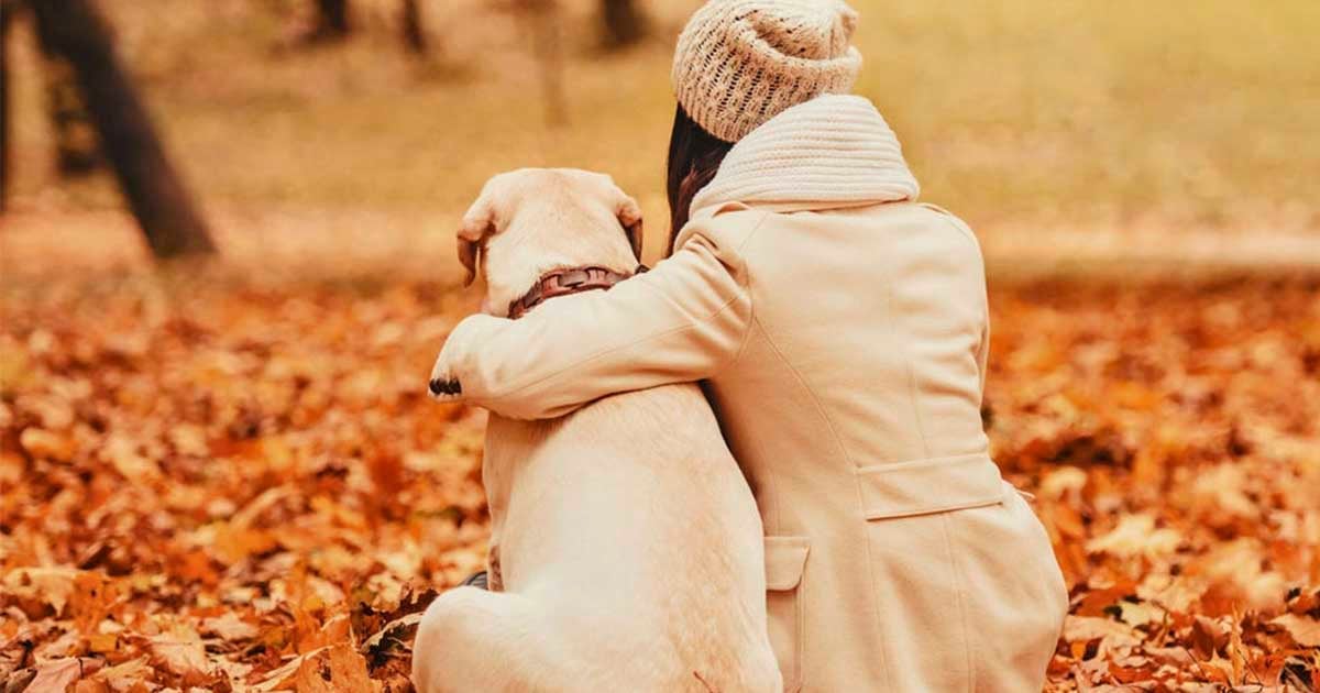 Many People Have Found Their Soulmate in a Pet