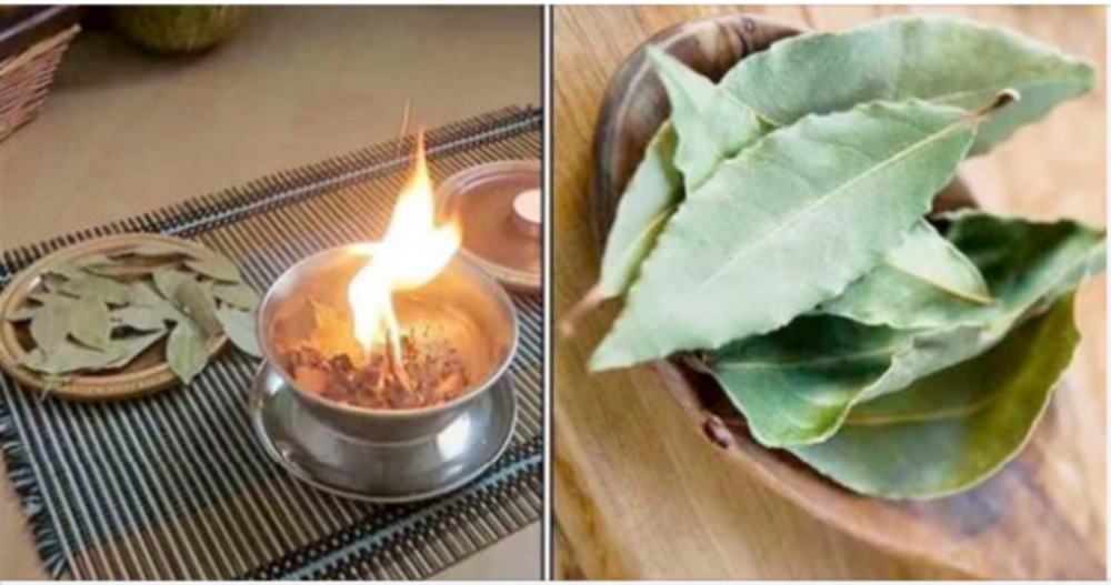 Amazing benefits of burning bay leaves