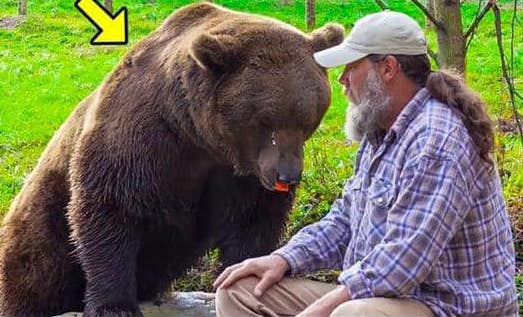 He Helped a Crying Bear While She Was in Labor. A Year Later, The Bear ...