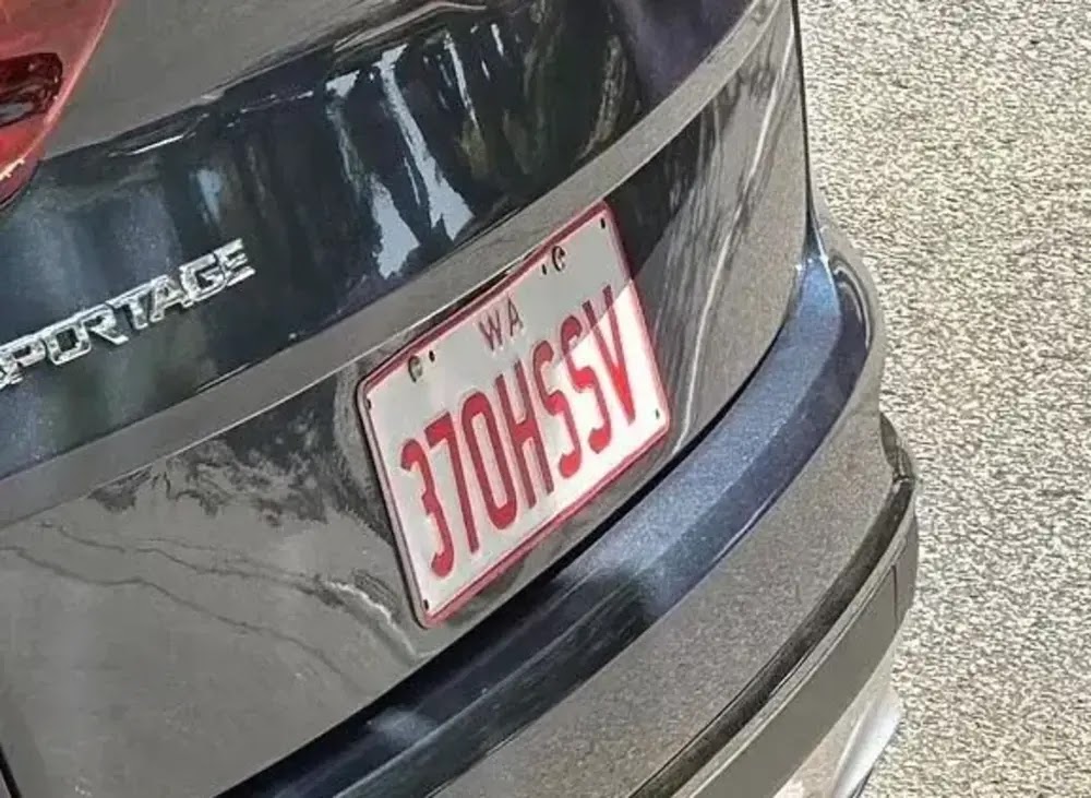 Surprising License Plate Making Waves with Clever Design